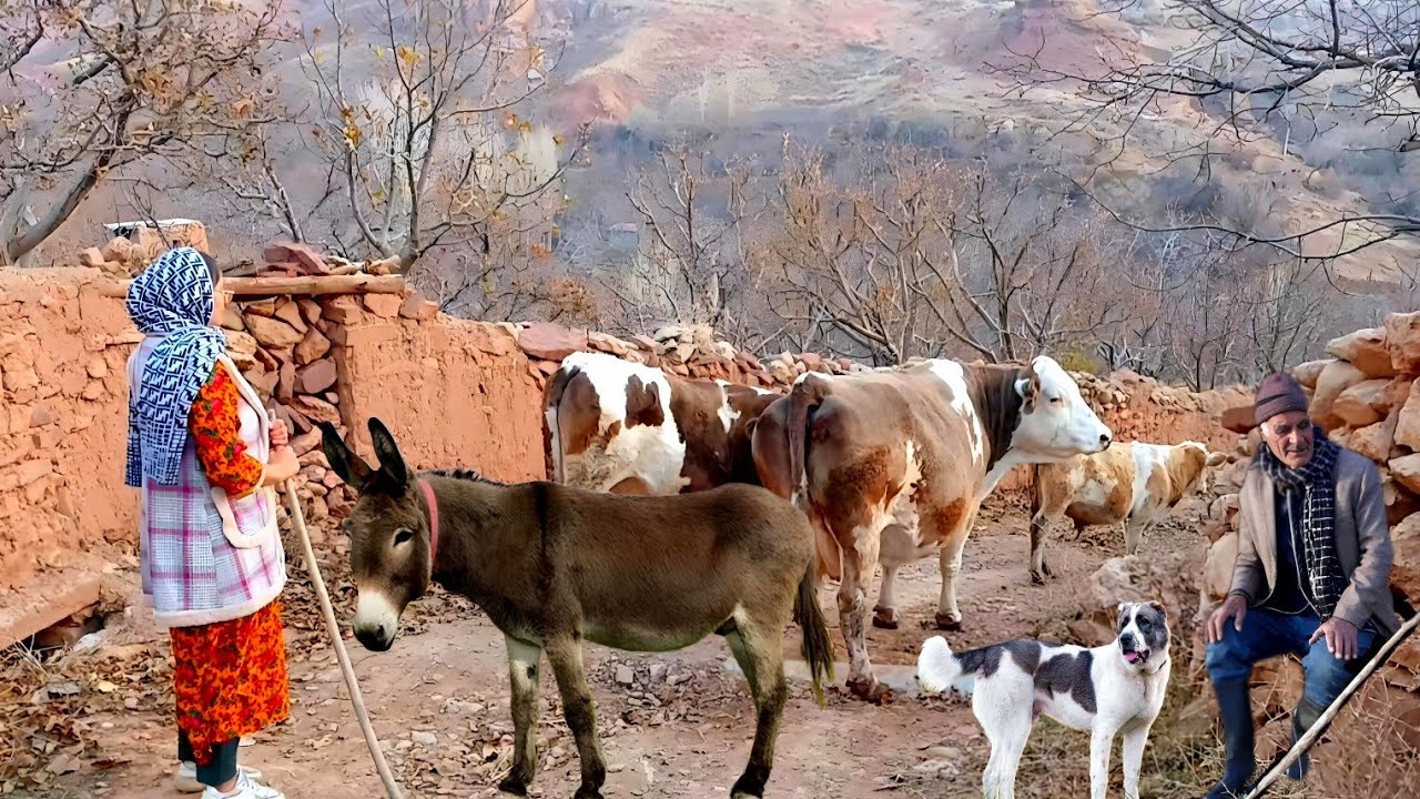 Shepherding Sheep in the Mountains: Witness the Nature That Will ...