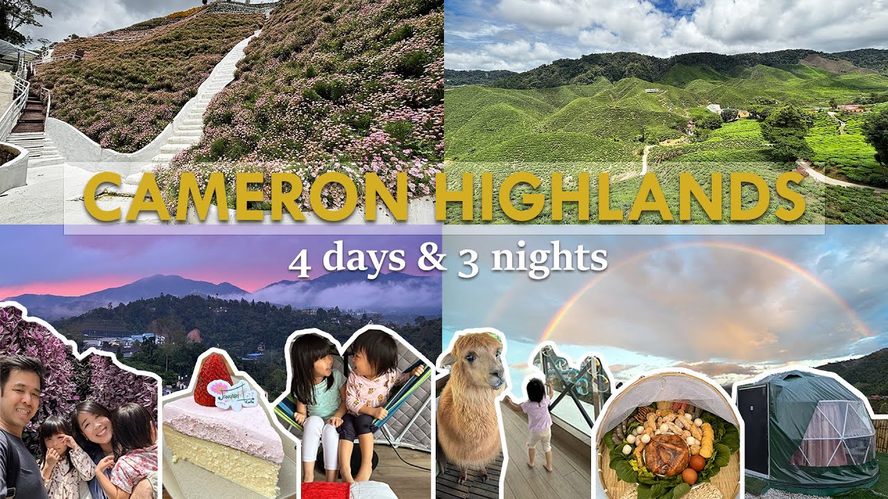 Cameron Highlands: Our Young Family Adventure | A 2024 Review - YouTube