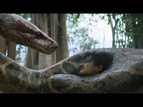 Anaconda [2024] Crimson Anaconda Screen Time