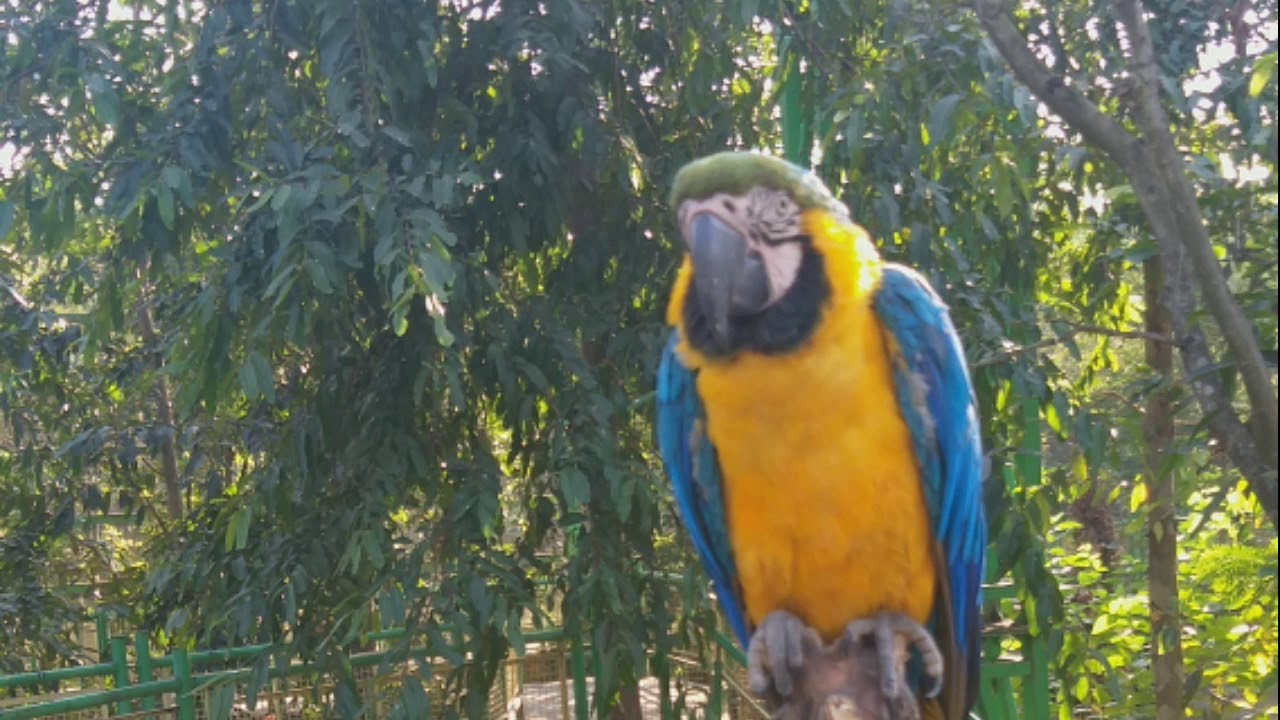 KANDLAKOYA OXYGEN PARK in hyderabad.. - YouTube