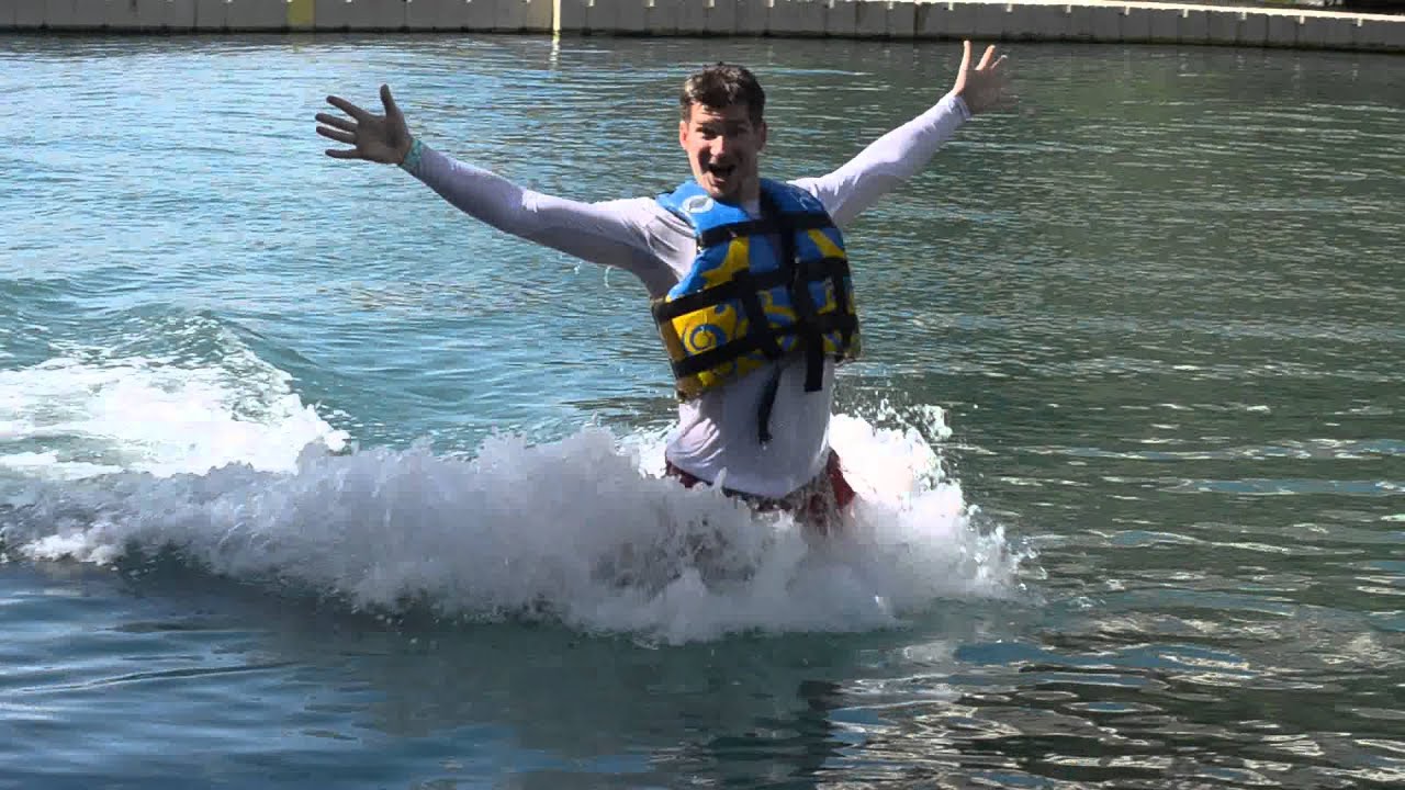Dolphin Push at Dolphin Discovery in Tortola on The British Virgin ...