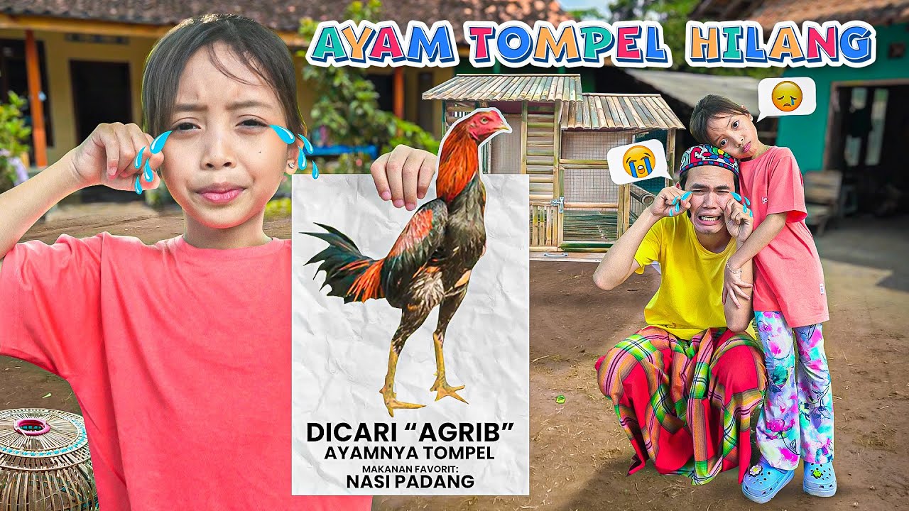 LEIKA DAN TOMPEL SEDIH 😭 AYAM TOMPEL HILANG, KETEMU NGGAK YA? - YouTube
