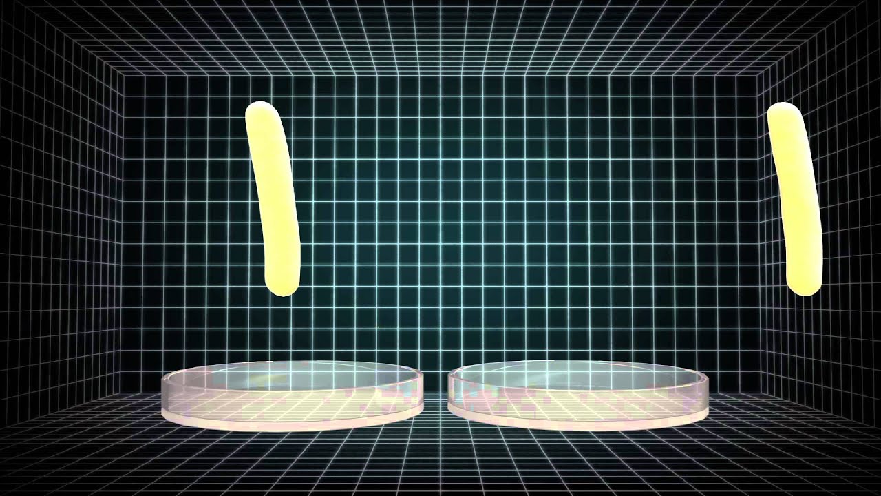 Scientists to turn bacteria in 'bio-batteries' - YouTube