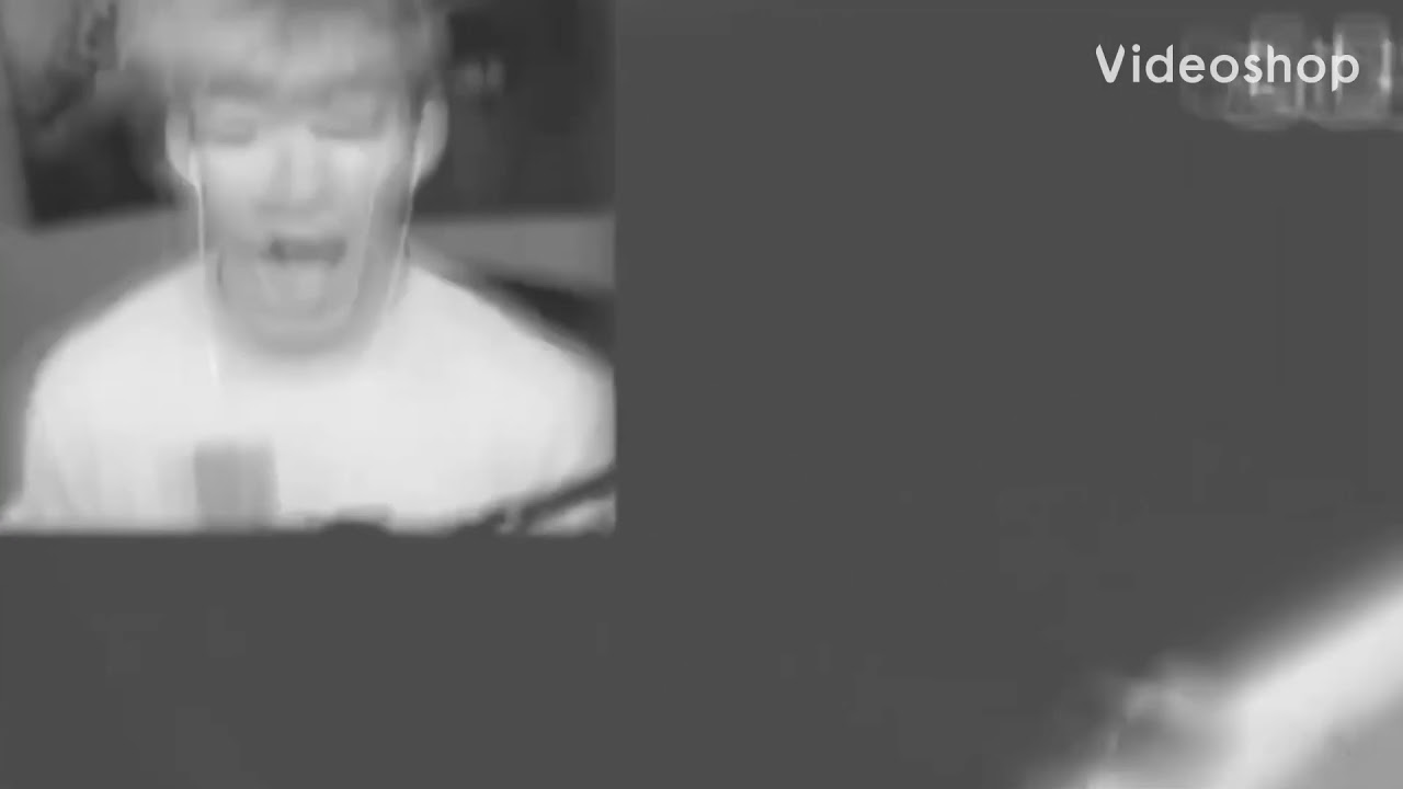 4 Seconds of Flamingo Screaming - YouTube