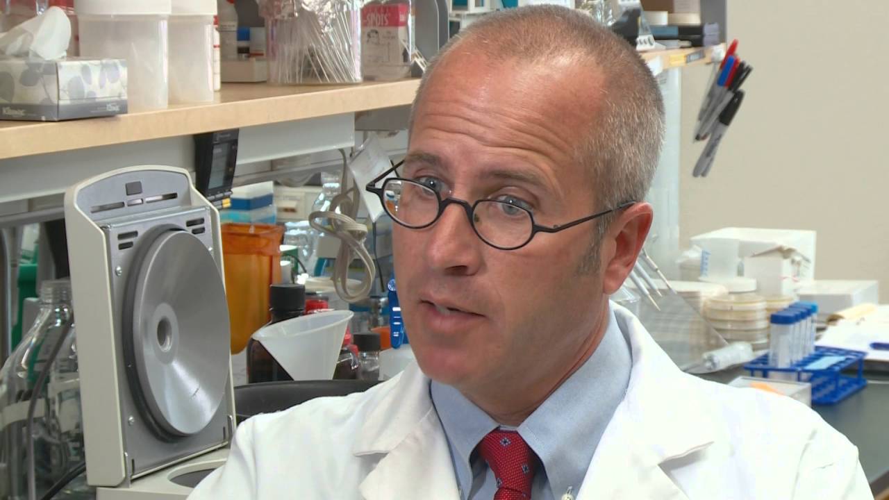 Antibiotics - From Discovery to Therapy - YouTube