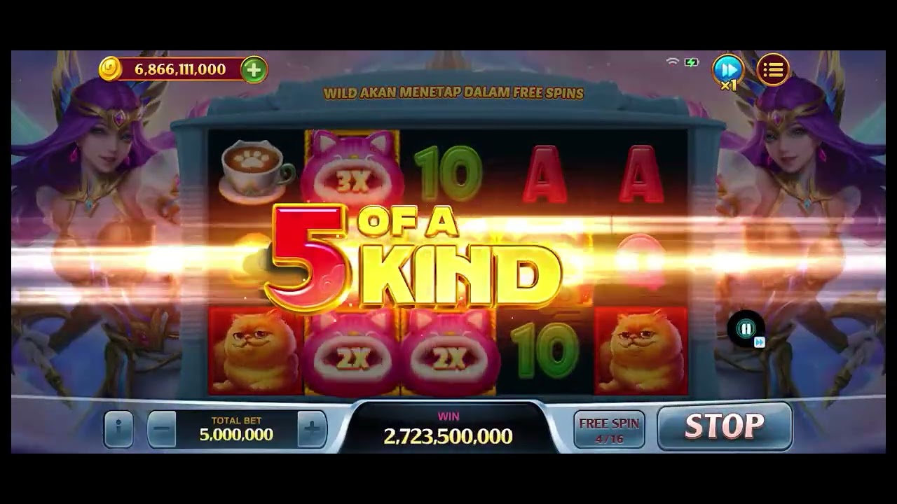 JACKPOT CAT COFE BETT 5M SODARA MELEDAKKKKK - YouTube