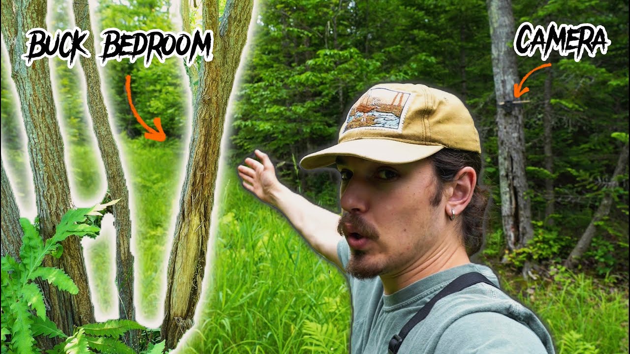 Finding Buck Bedding Areas! (Early Season Scouting Tips) - YouTube