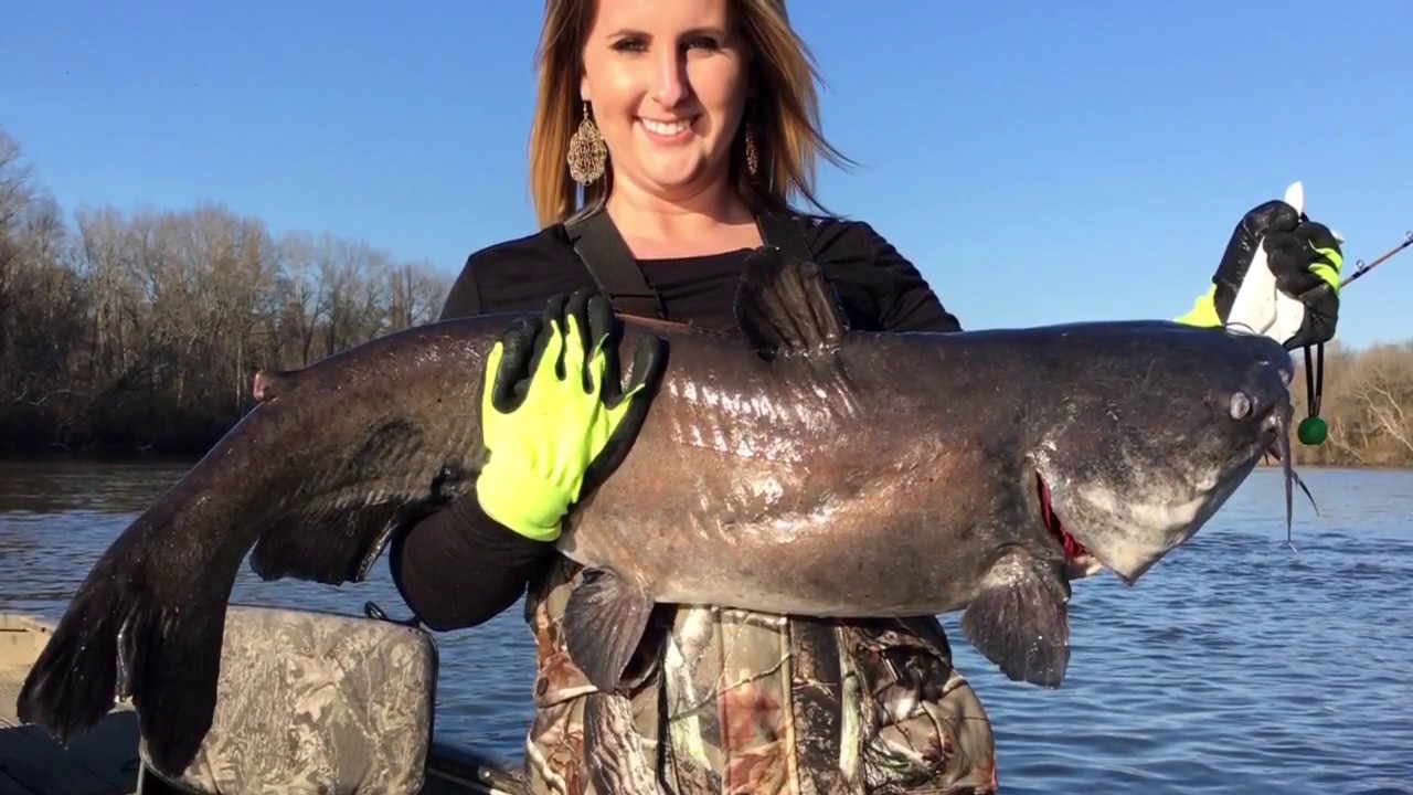 Uwharrie Angler Charters (Pee Dee River) - YouTube