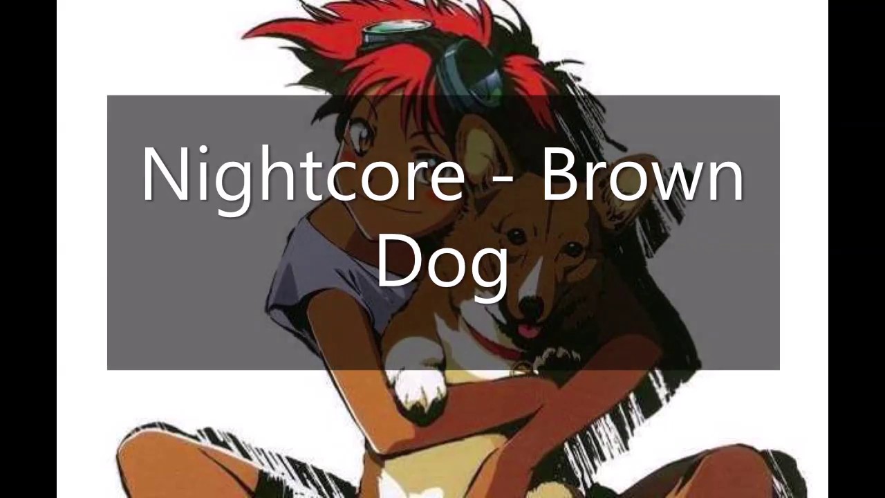 Nightcore - Brown Dog - YouTube