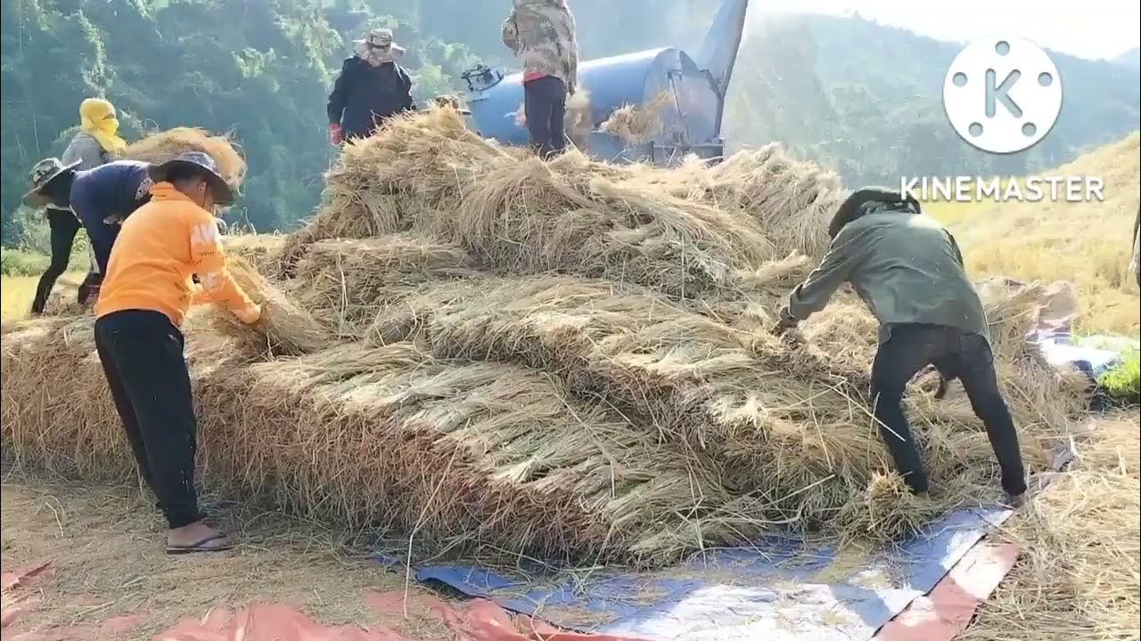 hnub no peb ntau nplej lawm nawb 19/10/2022 - YouTube