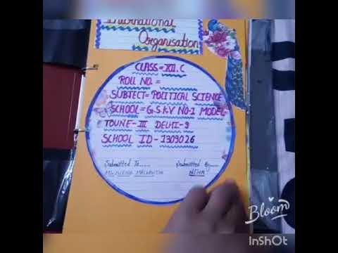 Class-12th(political science) project file on international ...