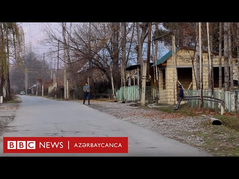 Şəkidə məhv olunan meşələr. Müxbirlərimiz orada nə gördü?
