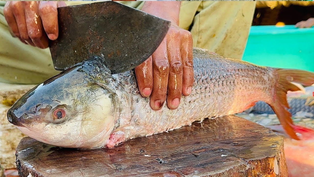 Amazing Cutting Skills | Giant Rohu Fish Cutting Skills By Expert Fish ...