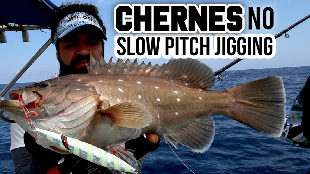 PESCARIA de CHERNE no SLOW PITCH JIGGING - TÉCNICA - YouTube