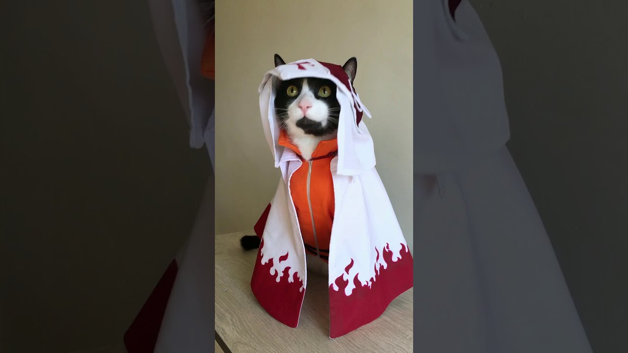 Hokage Cat - Proceso de elaboración - YouTube