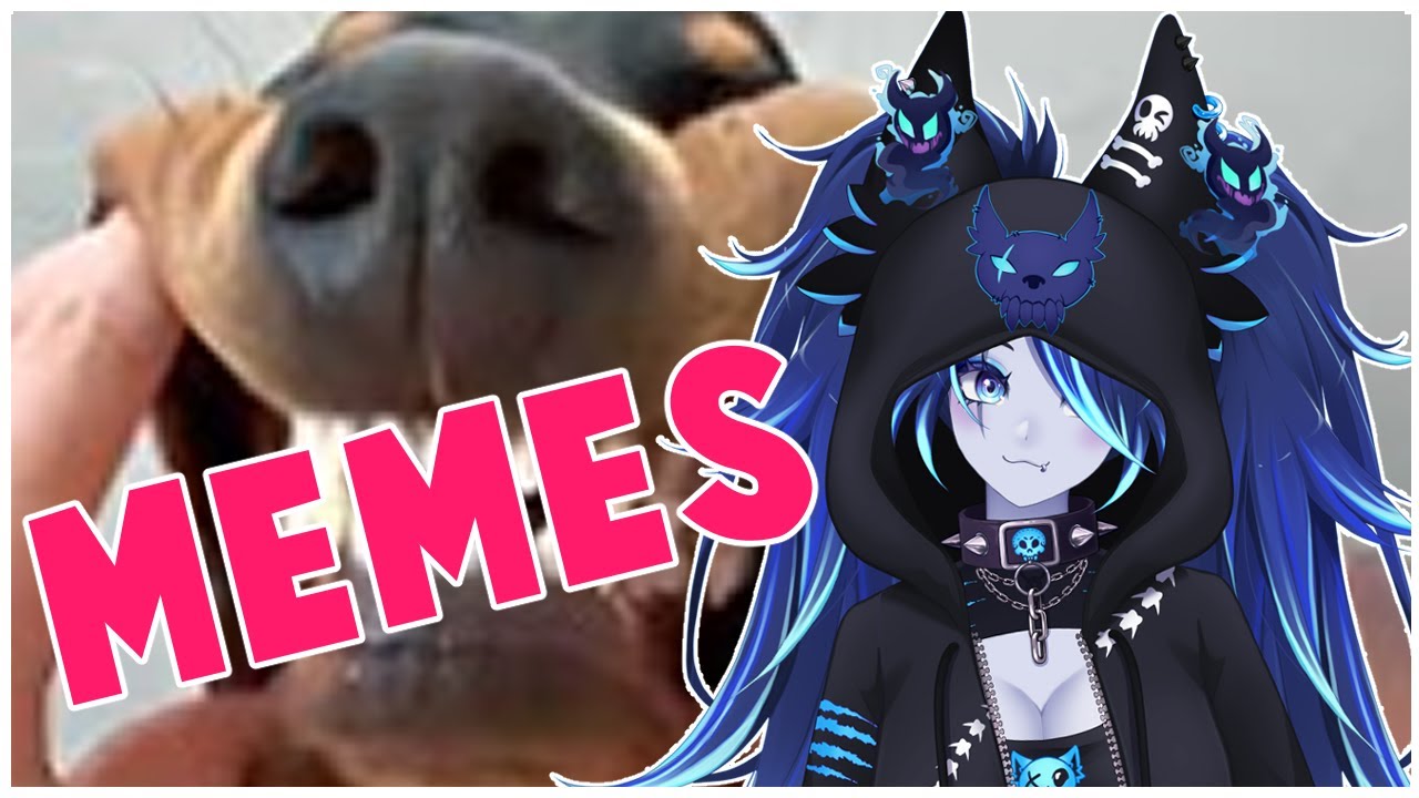 Spite Reacts to FUNNY memes - YouTube