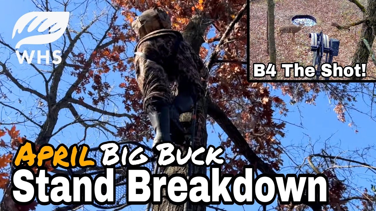 April Big Buck Stand Location Breakdown - YouTube