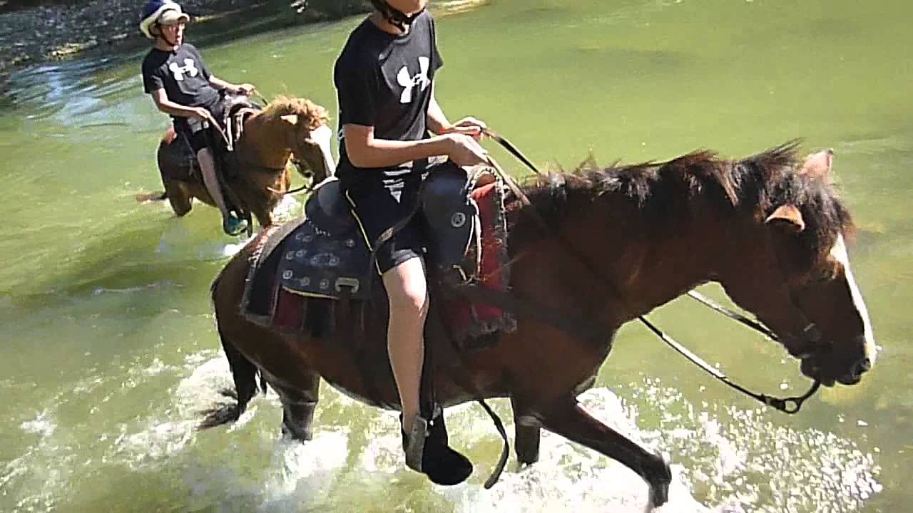 Horseback Riding - YouTube