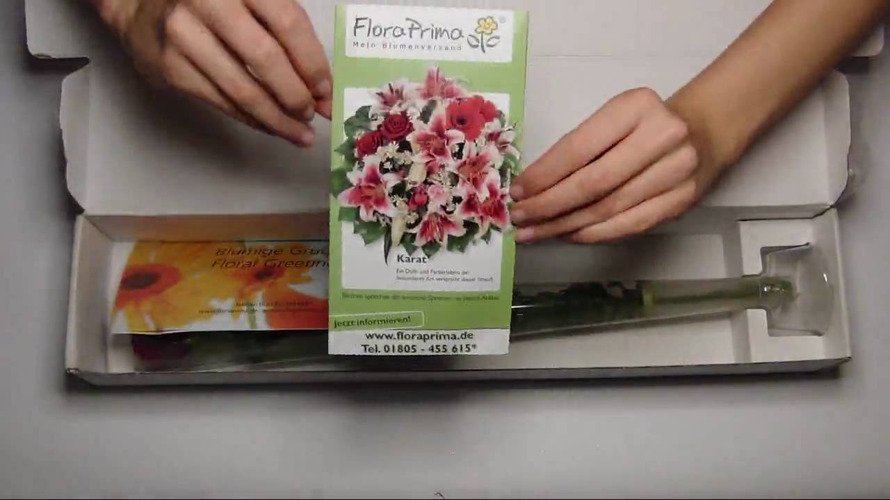 FloraKing.de: Eine Rose von FloraPrima.de! - YouTube