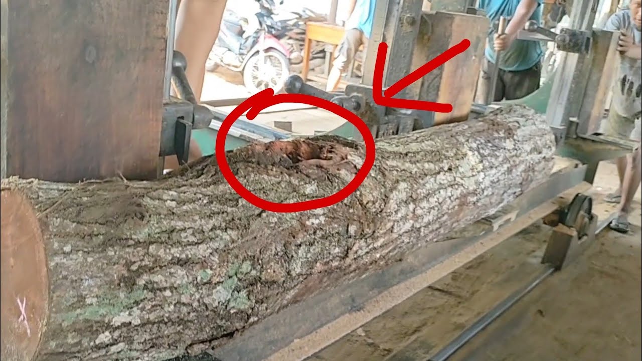 see what happens when sawing beams and planks from teak and redwood ...