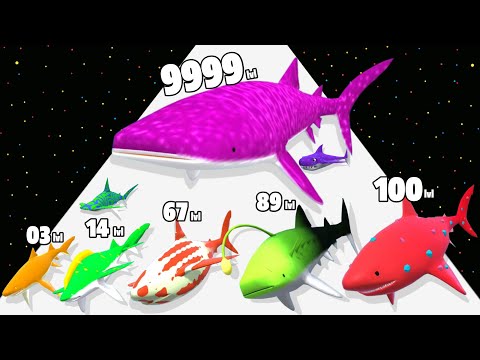 Shark Attack Evolution - Level Up Shark Max Level Gameplay
