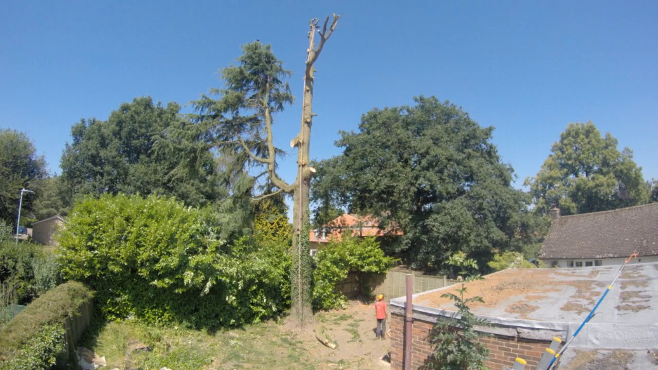 Cedar, Village Store, Potten End 27,6,18 - YouTube