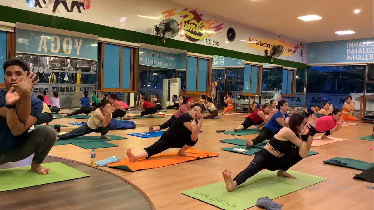 Hatha Vinyasa Yoga Flow For Beginners to Intermediate | Dialy Routine ...