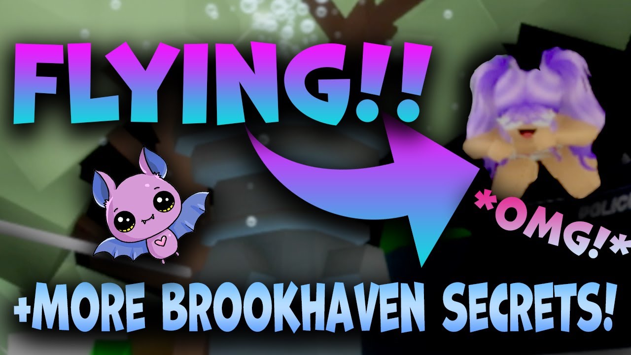 How To FLY IN BROOKHAVEN!😃Secret Underground CAVE AREA!! Brookhaven ...