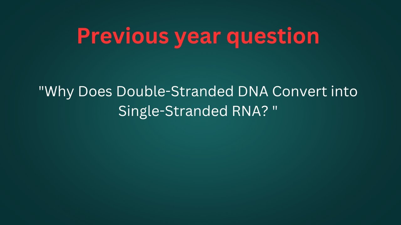 "Why Does Double-Stranded DNA Convert into Single-Stranded RNA ...