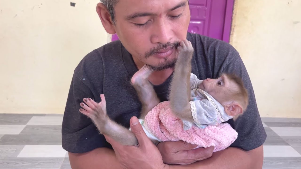 The Healing Happiness! Cute Baby Monkey Make Daddy Sleepy - YouTube