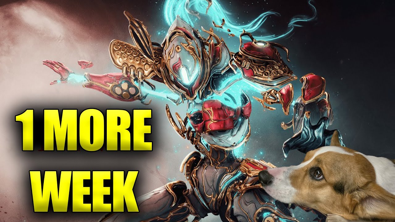 How's Everyone Feeling Today? Xaku Prime Next Week! Warframe And Chill ...