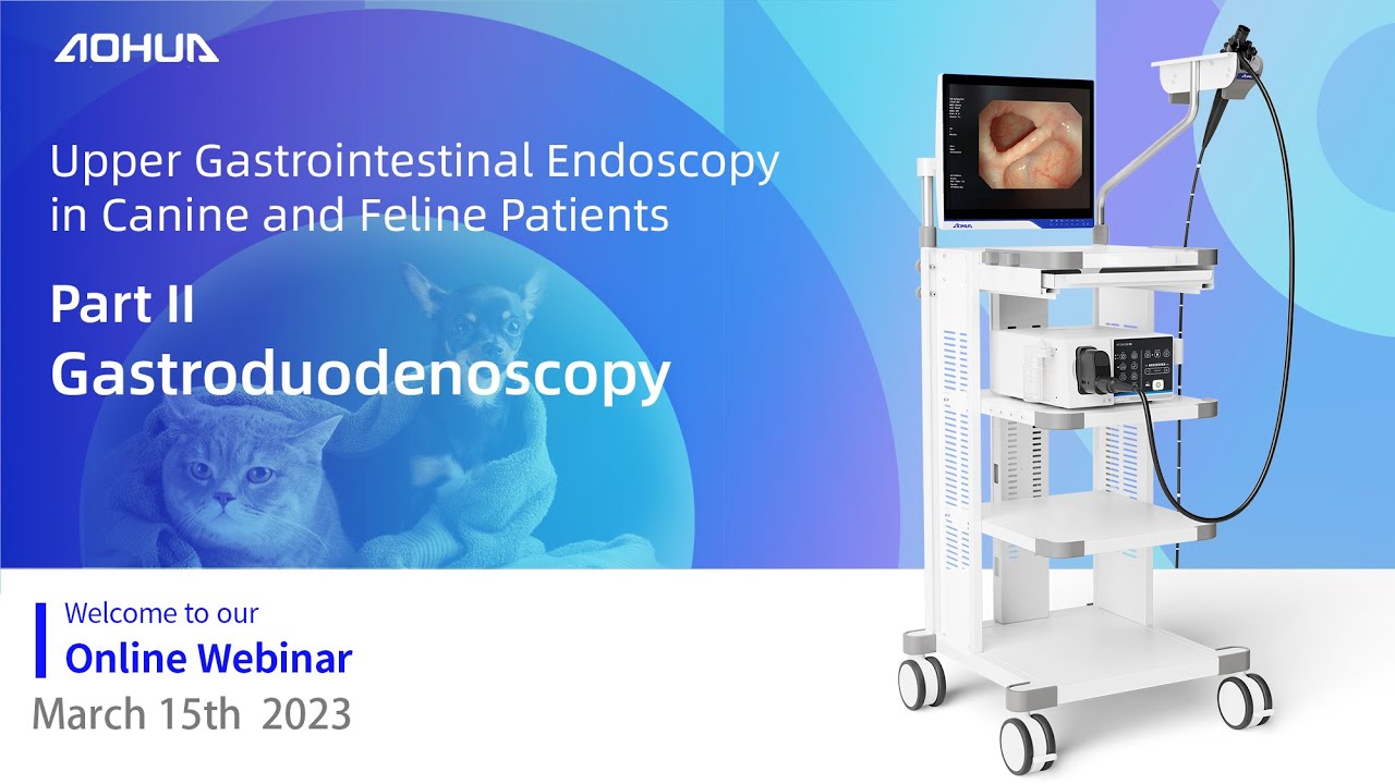 [Aohua Vet Webinar Record] Upper Gastrointestinal Endoscopy in Canine ...