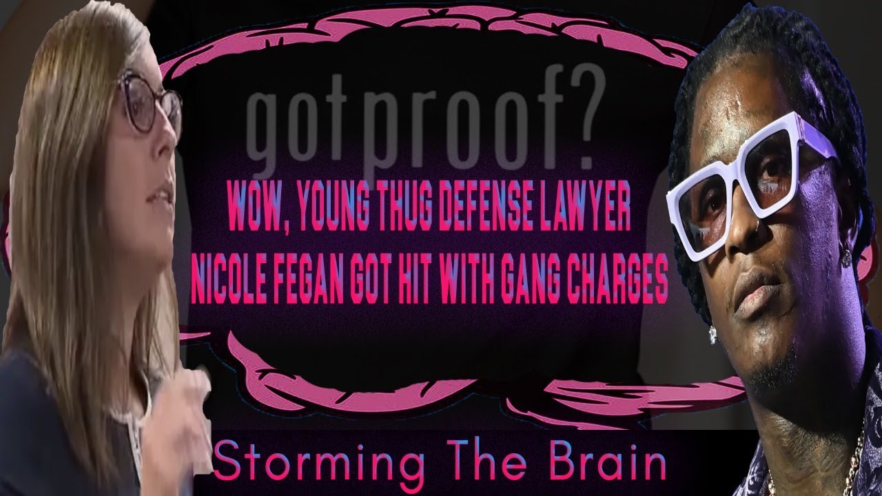 Wow, Young Thug Defense Lawyer Nicole Fegan Got Hit With Gang Charges ...