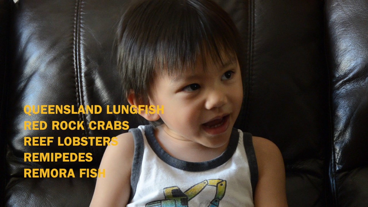 JD's Octonauts Sea Creatures Song - YouTube
