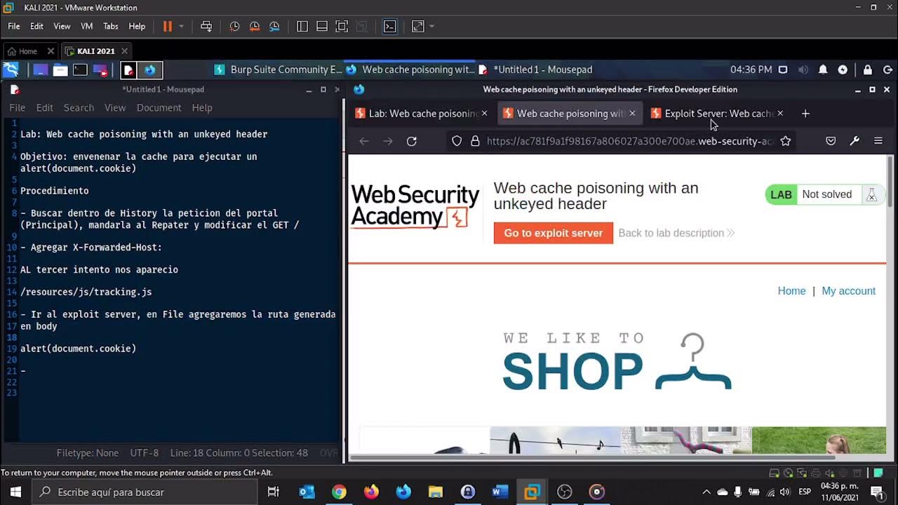Lab Web cache poisoning with an unkeyed header - YouTube
