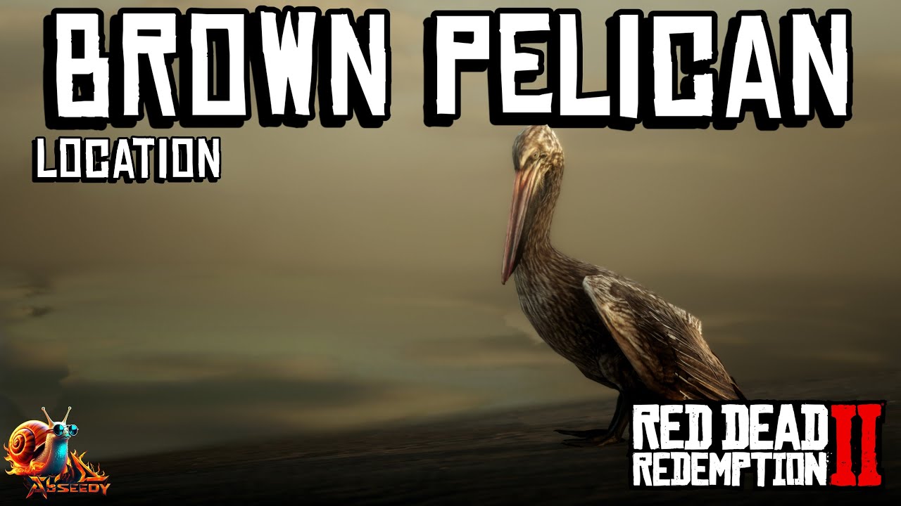 Brown Pelican Location - Red Dead Redemption 2 - YouTube