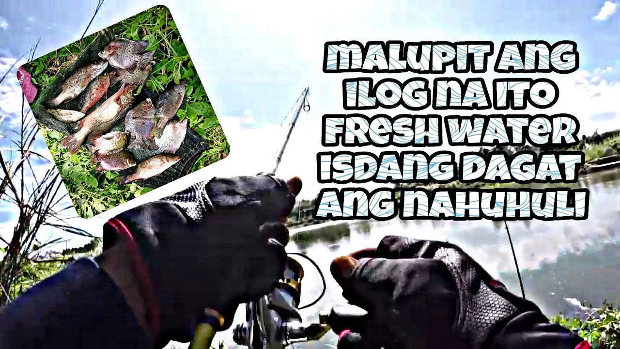 Malupit Ang ilog na to fresh water isdang dagat Ang nahuhuli - YouTube