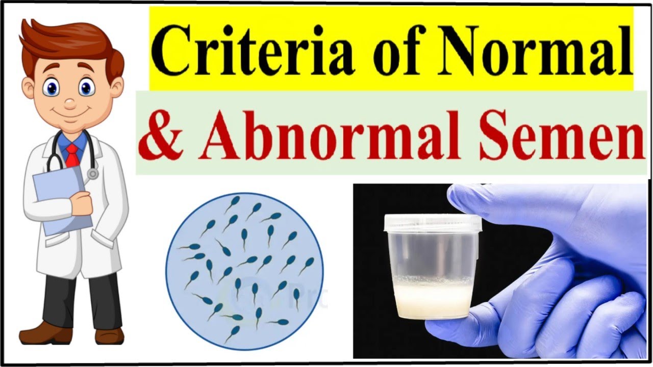 How to determine if your semen is normal or abnormal? Criteria of Normal Semen - YouTube