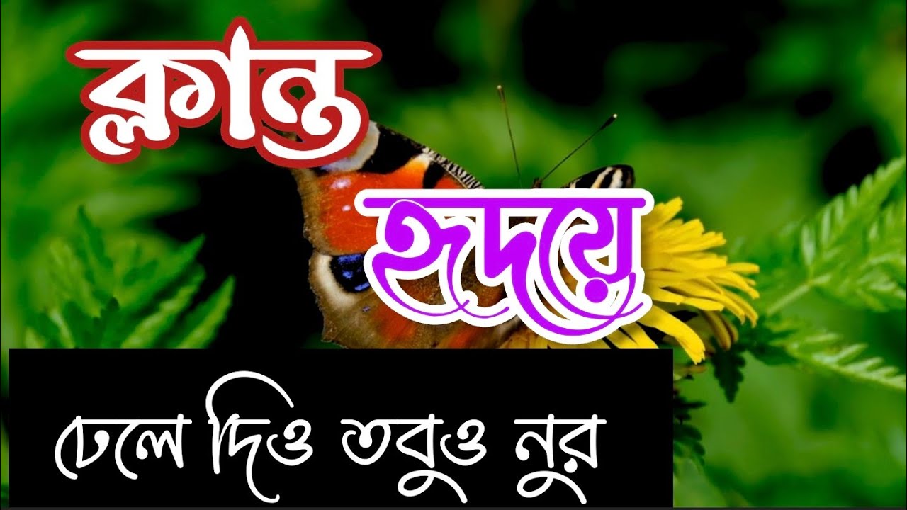 islamic bangla gojol, bangla gojol, গজল, islamic songs, tension release ...
