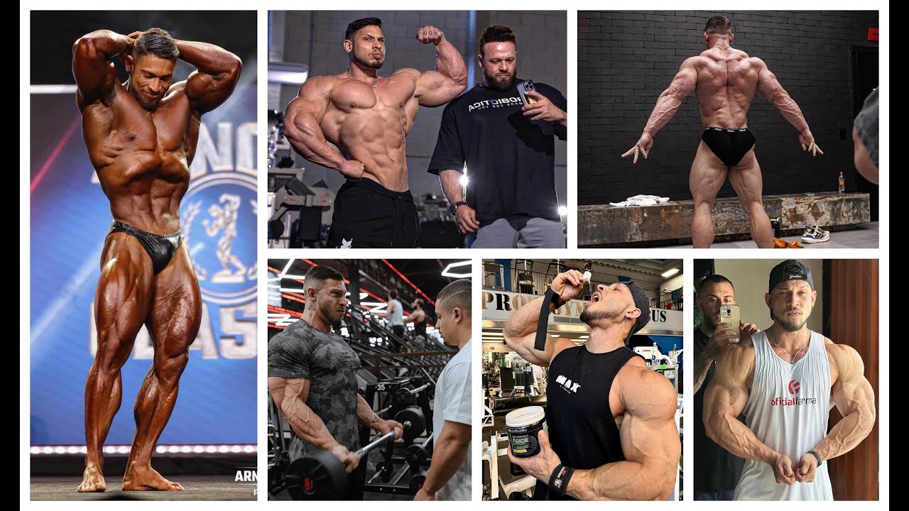 Ramon Dino Rocha Queiroz - IFBB Pro Brazilian Classic Physique ...