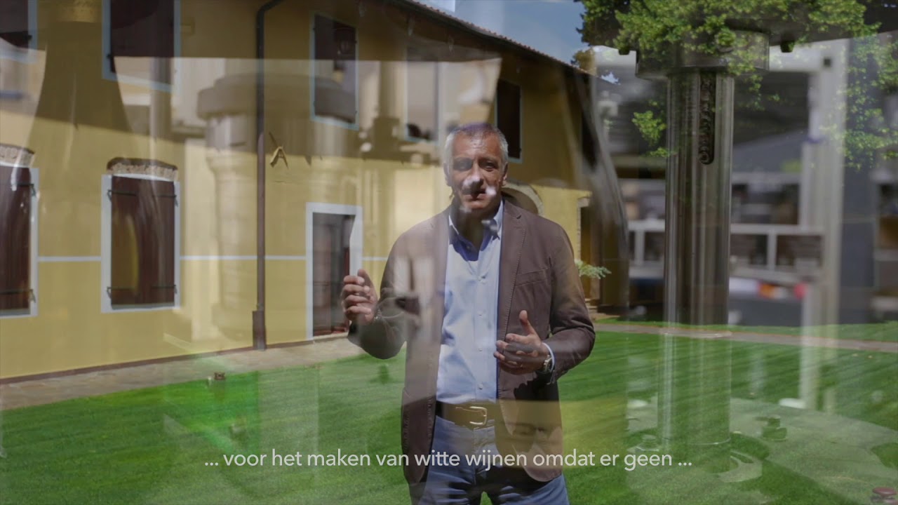 Di Lenardo Vineyards - YouTube