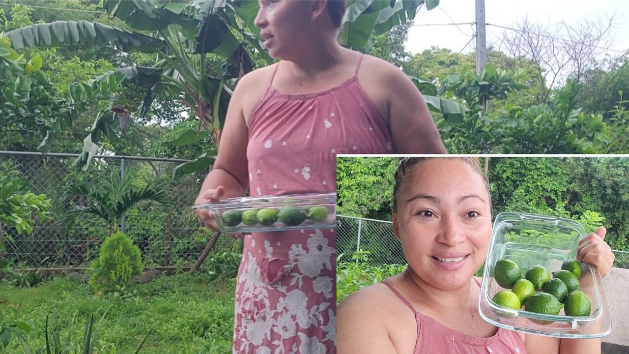 Esta es mi primera corta de limones de mis arboles🙏 - YouTube