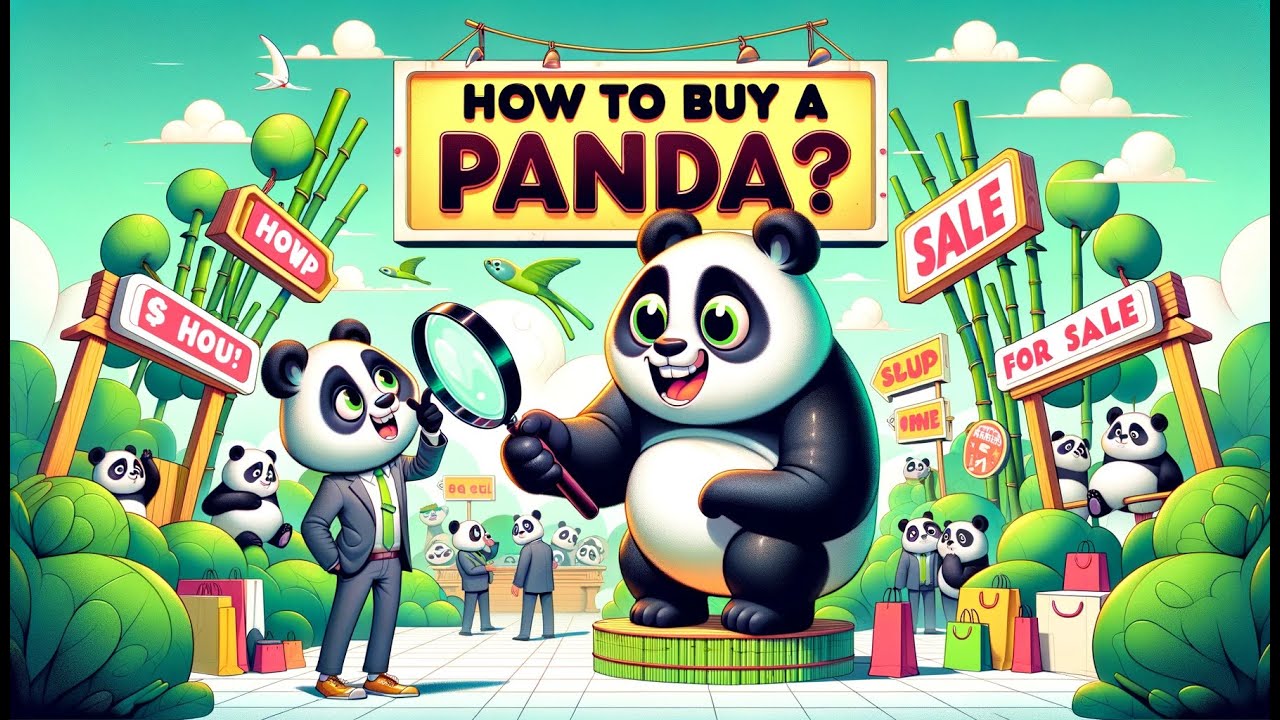 How to Buy a Panda: The Ultimate Guide | Panda Explains - YouTube