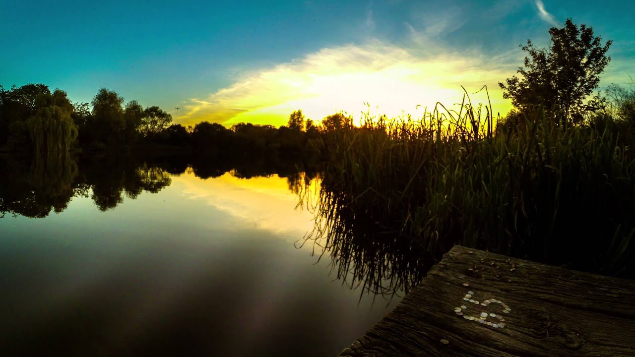 Norwich University (UEA) Lake - 4K Time Lapse - YouTube