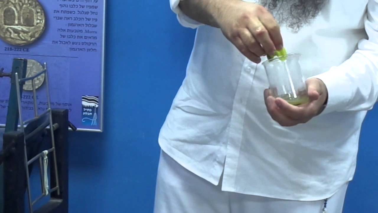 Ptil Techelet Factory - YouTube