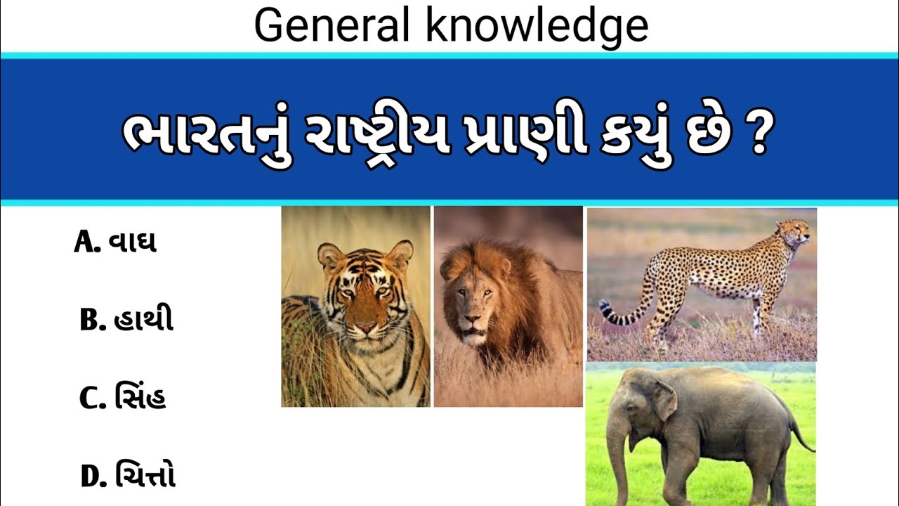 GK most important questions and answers || general knowledge Gujarati # ...