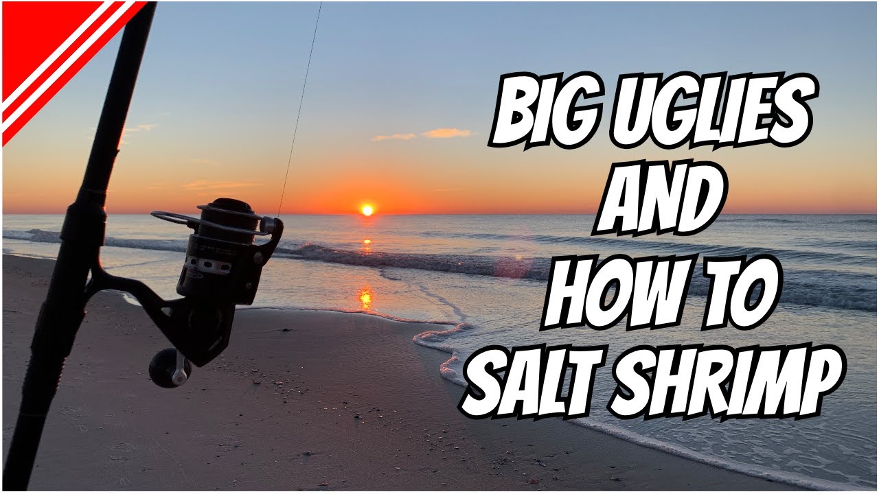 BIG Uglies and How To Salt Shrimp - YouTube