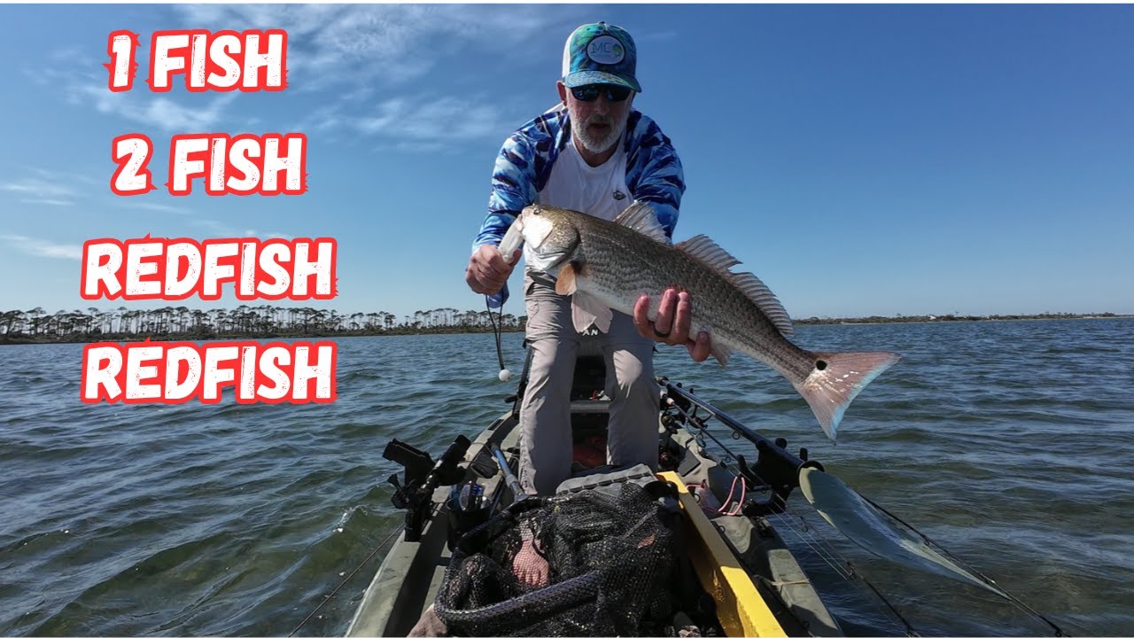1 Fish 2 Fish Redfish Redfish - YouTube