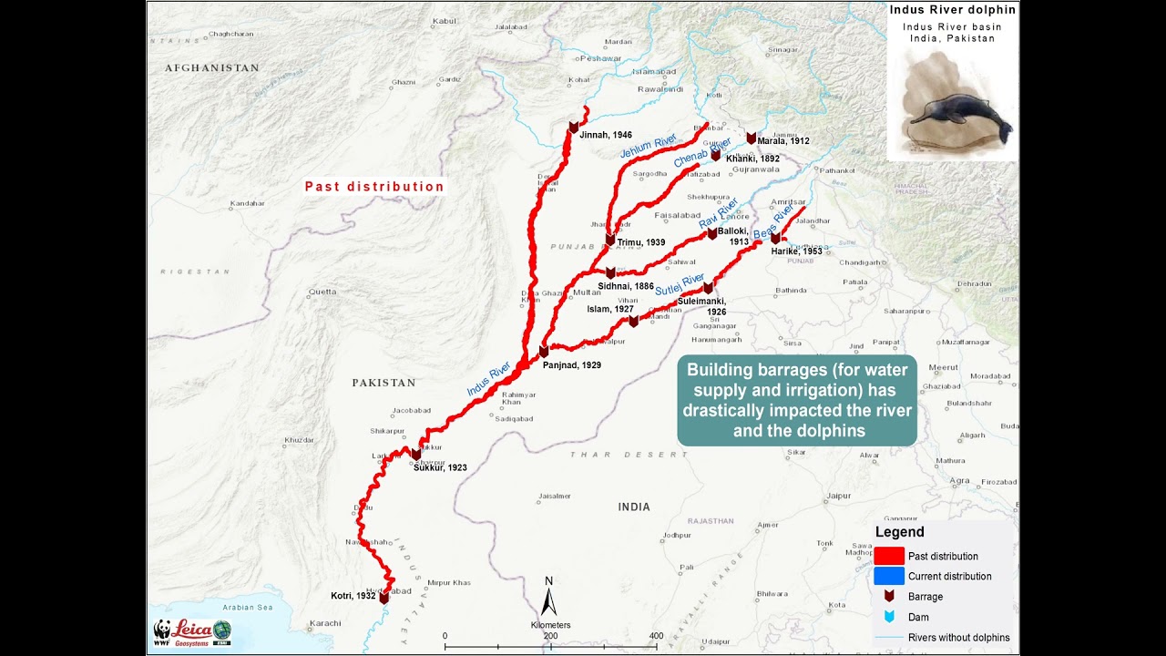 Ganges River Dolphin Map