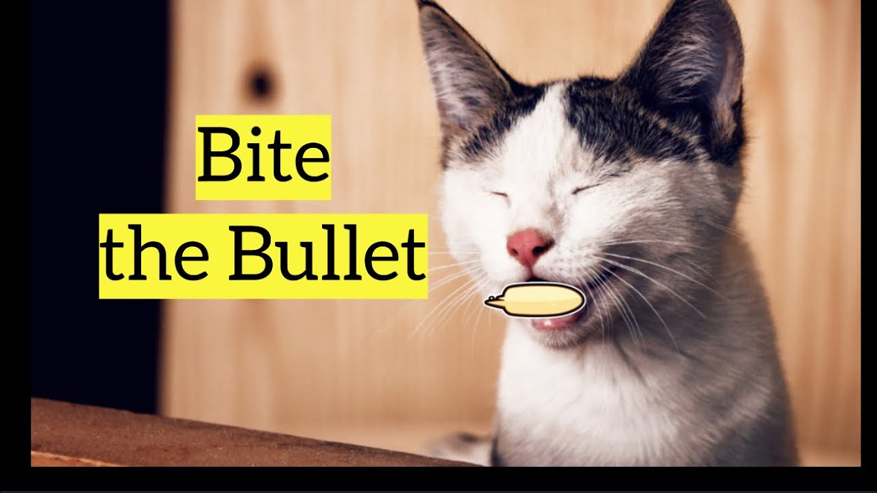 Bite the Bullet | Meaning and historical context | English Idiom - YouTube